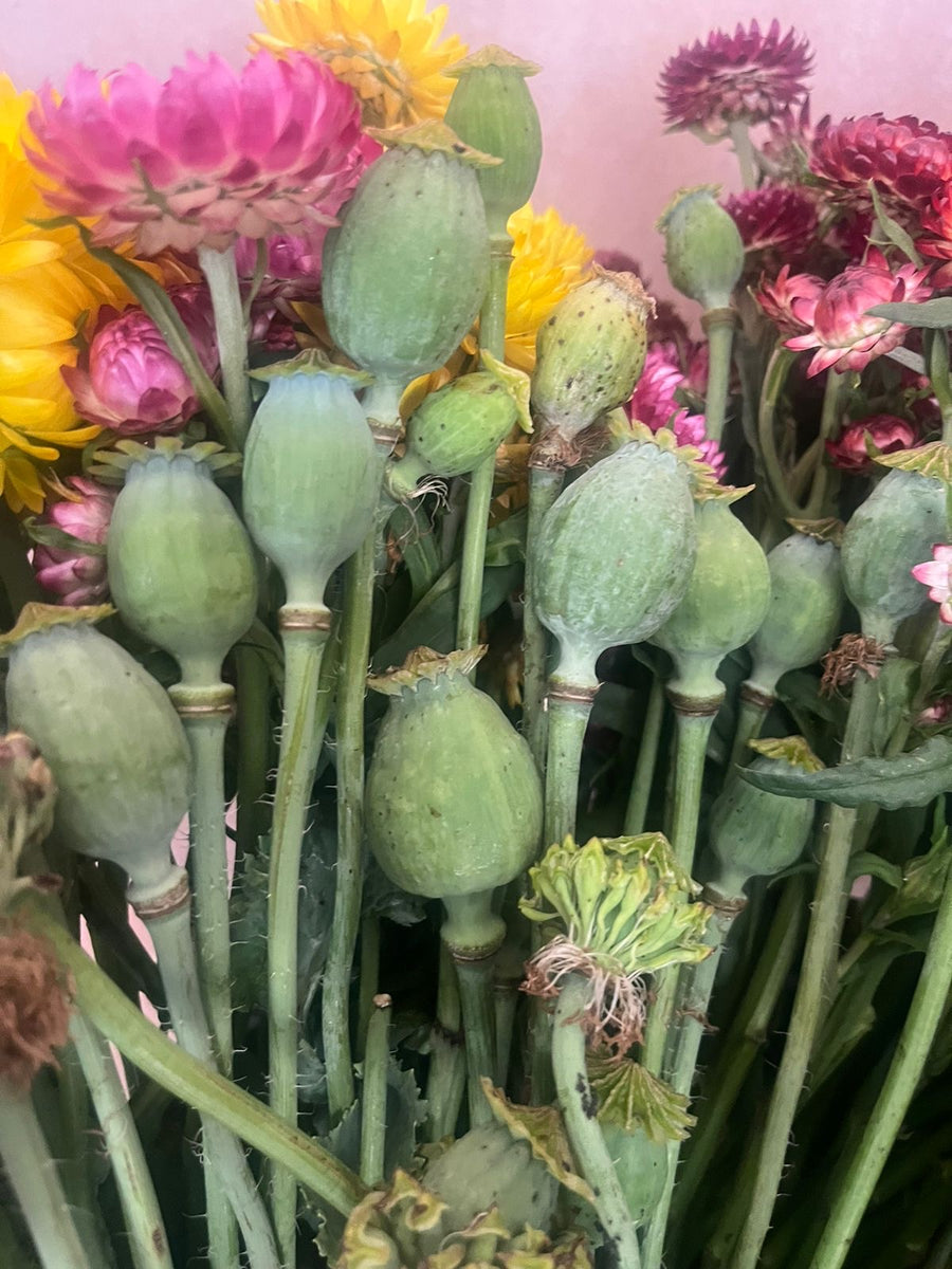 Workshops – akanaka blooms-the store