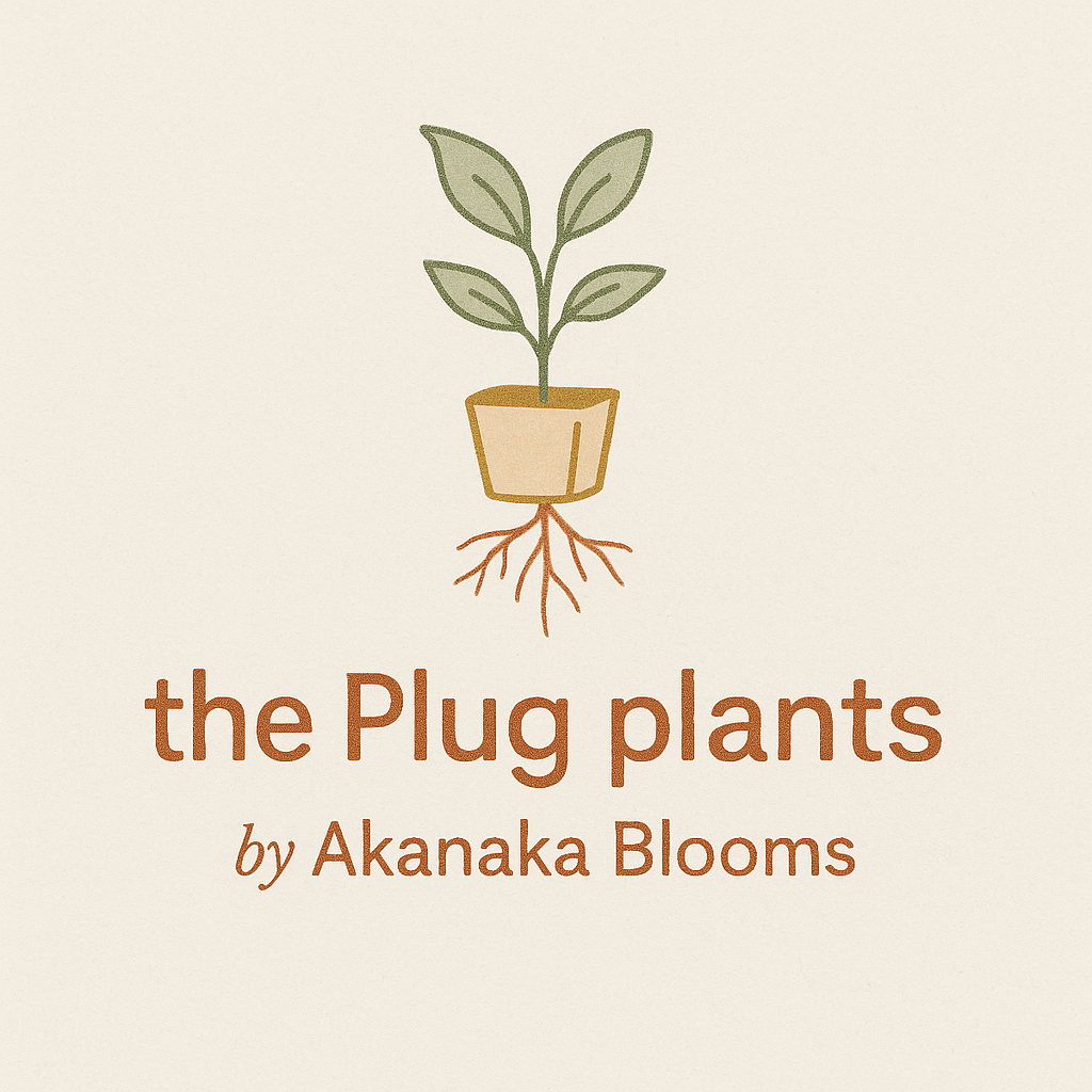 The Garden Collection- Plug Plants – akanaka blooms-the store