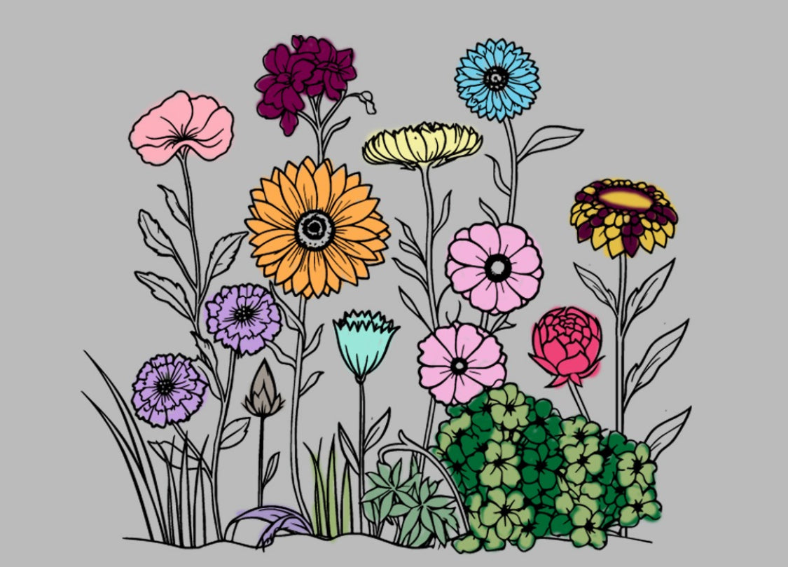 AKANAKA BLOOMS- THE FLOWER ACRE – akanaka blooms-the store